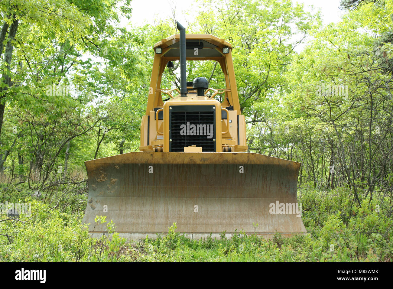 Dozer woods hi-res stock photography and images - Alamy