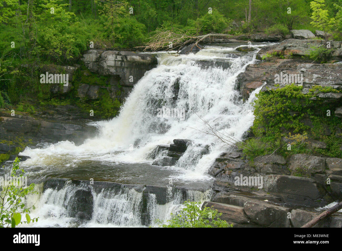 an image of Resica Falls Stock Photo - Alamy