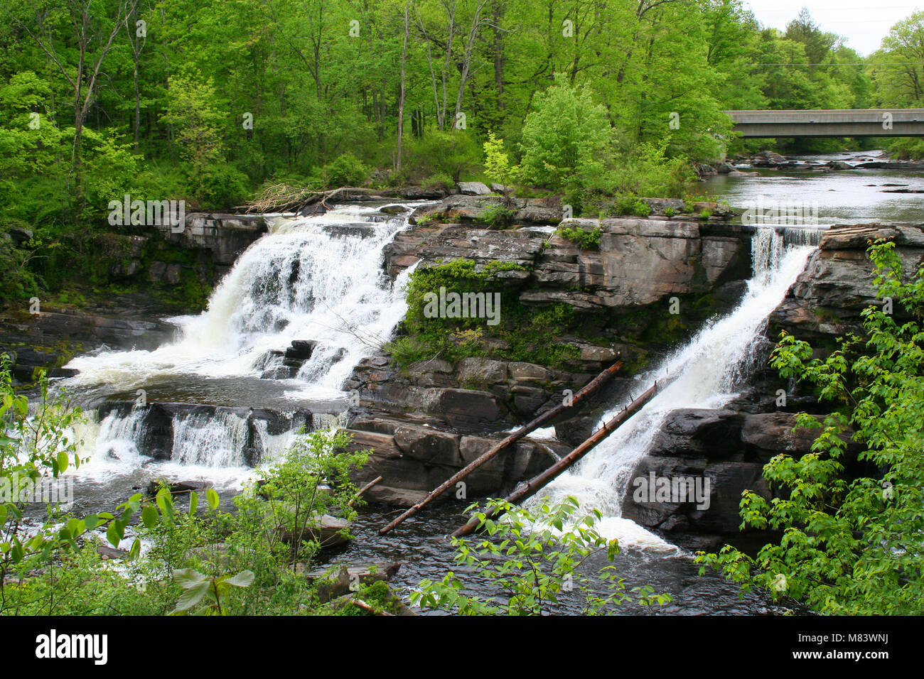 Resica hi-res stock photography and images - Alamy