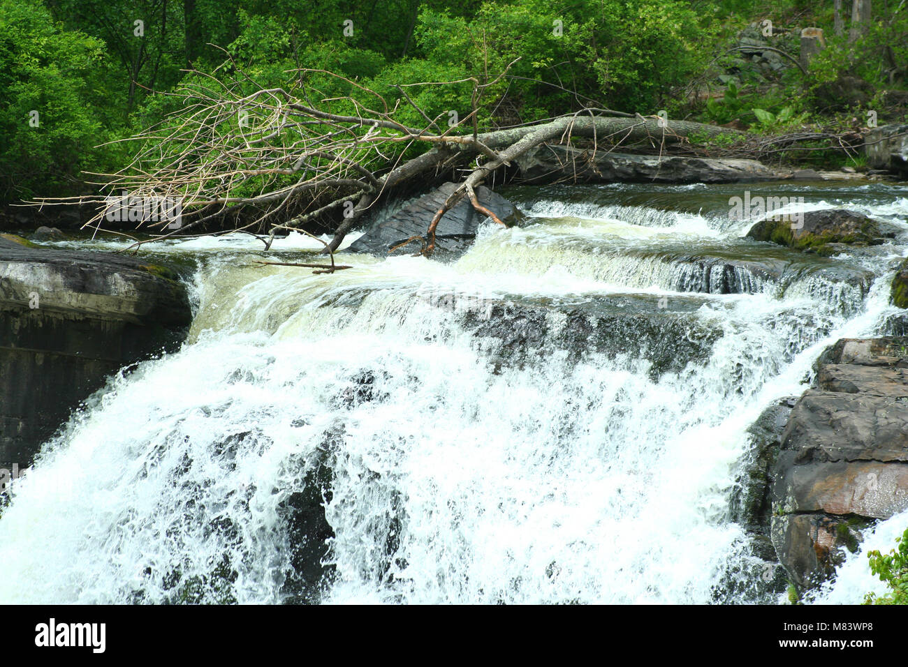 Resica falls hi-res stock photography and images - Alamy