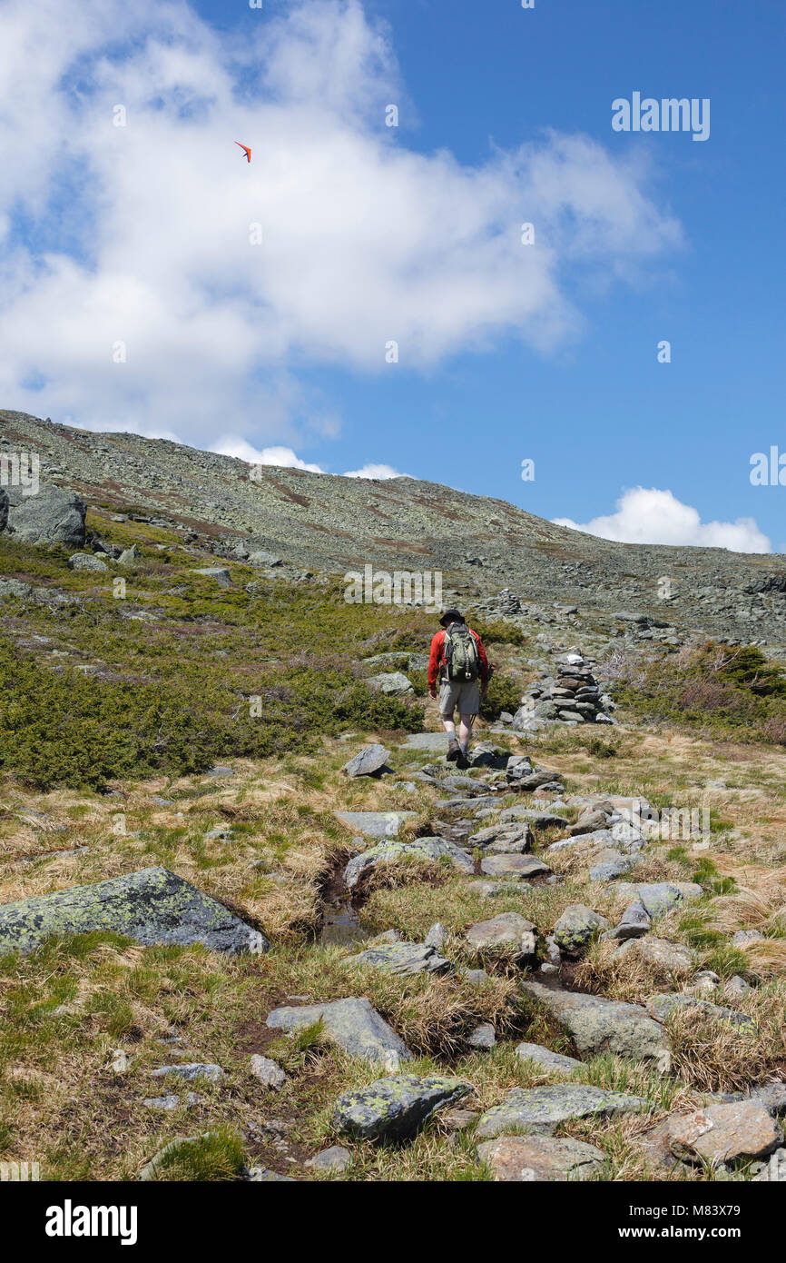 A hiker travels along the Alpine Garden Trail on Mount Washington in ...