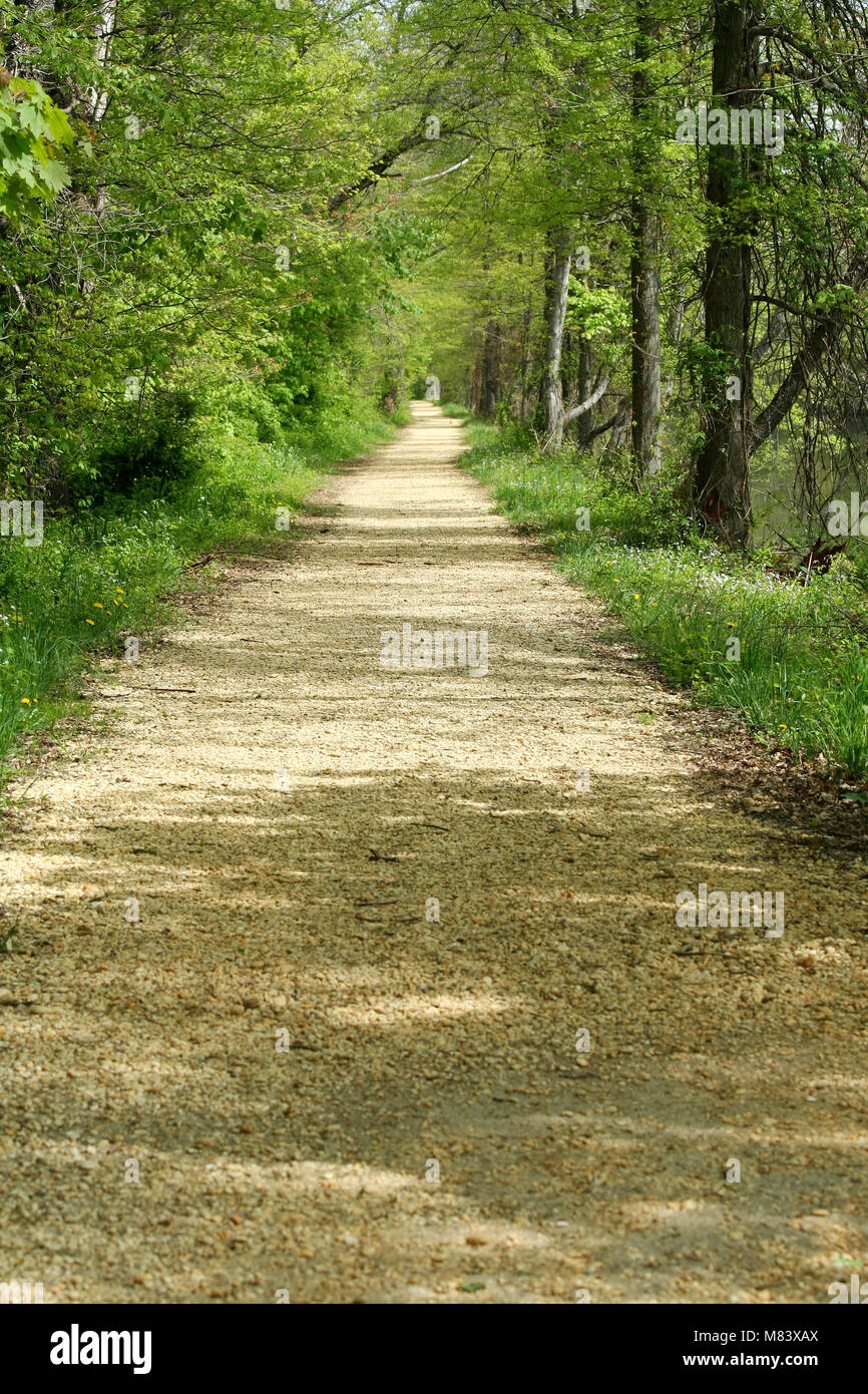 A Path through the trees Stock Photo - Alamy