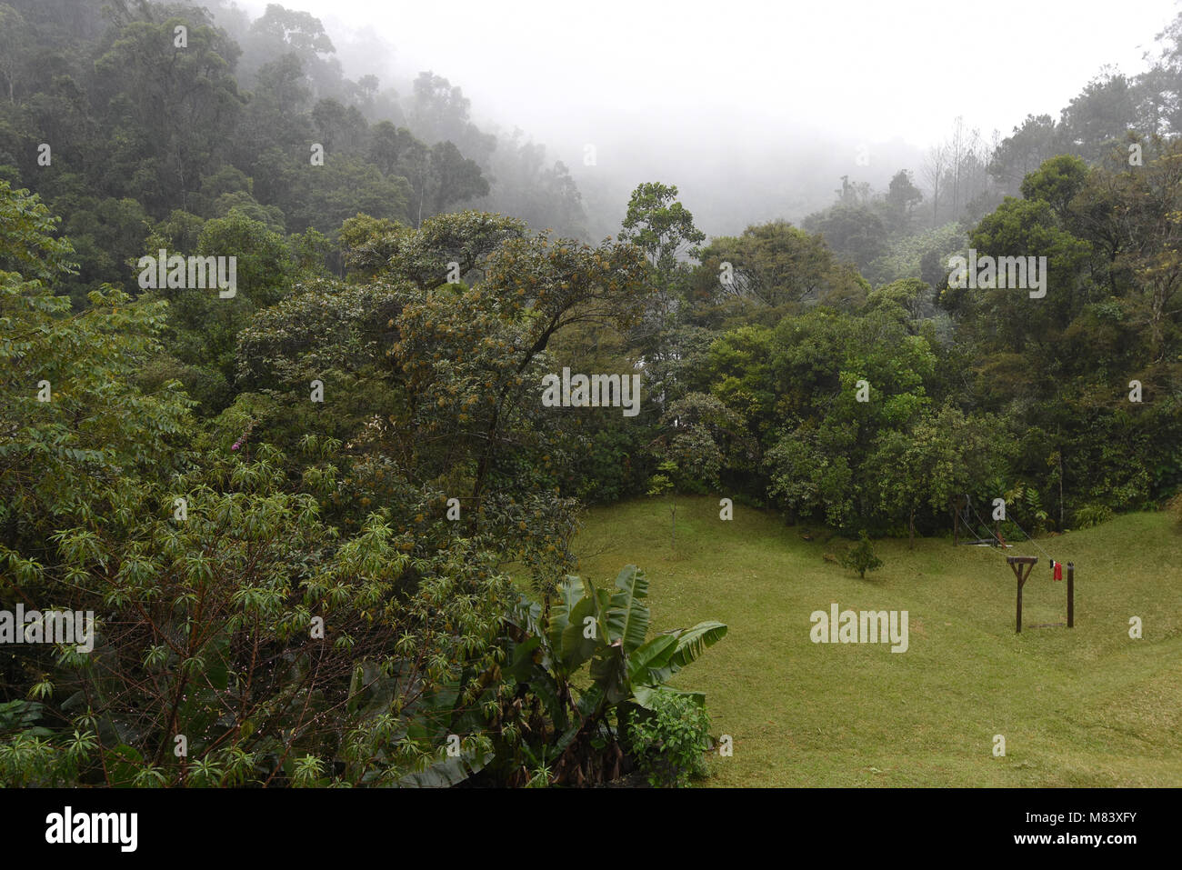 Ranomafana rainforest hi-res stock photography and images - Alamy
