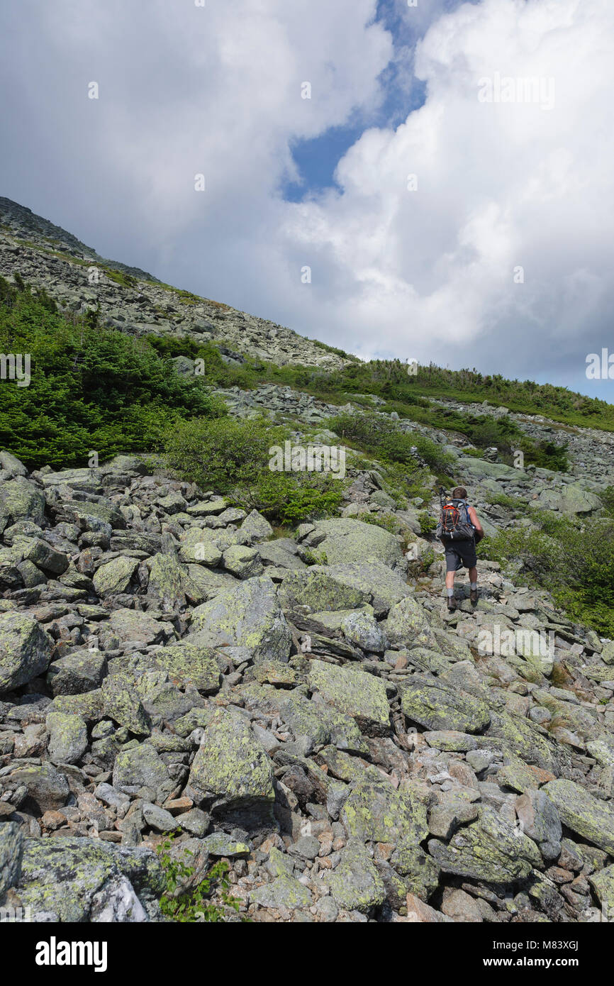A hiker traversing the Alpine Garden Trail in the Sargent’s Purchase of ...