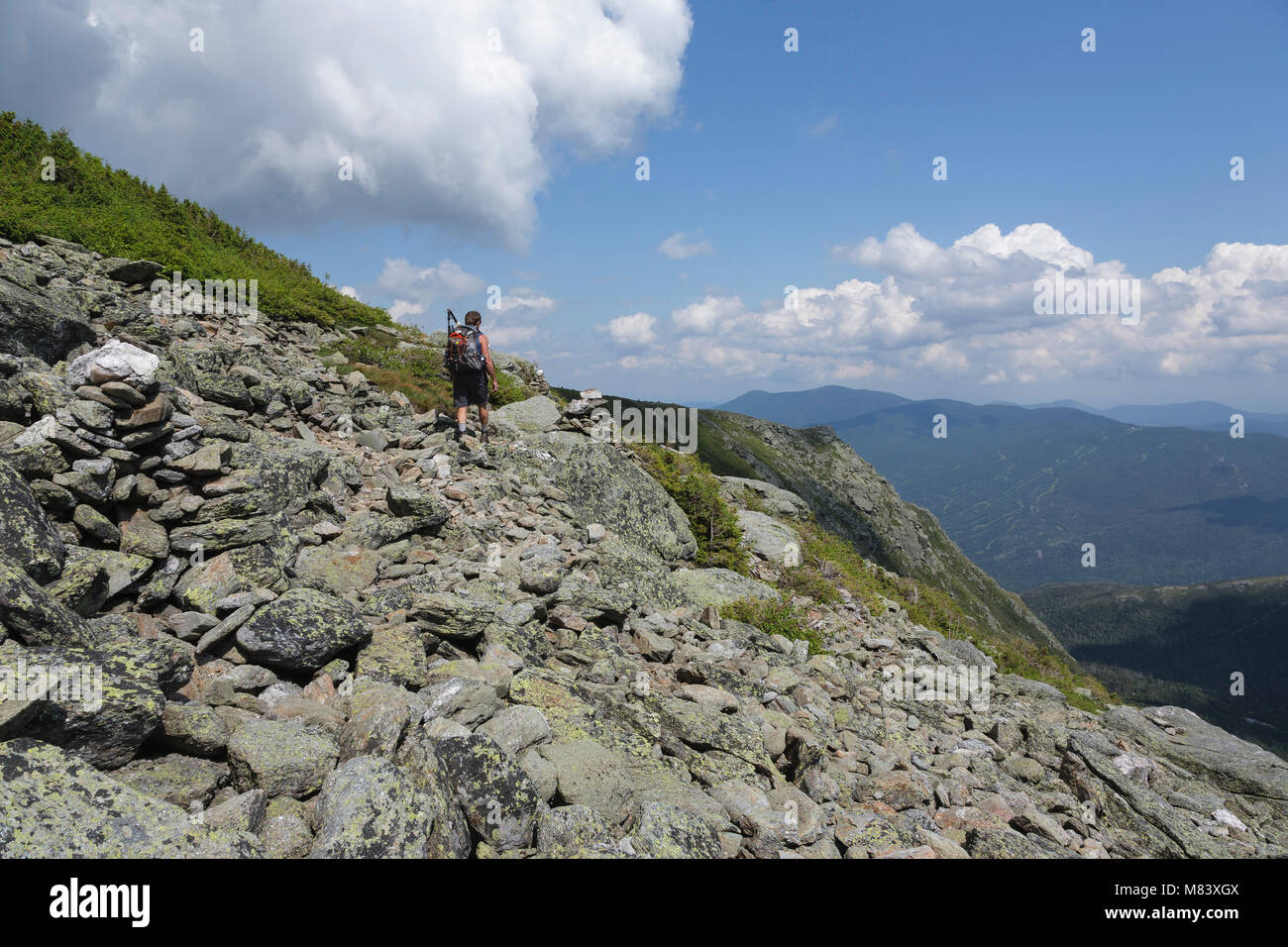 A hiker traversing the Alpine Garden Trail in the Sargent’s Purchase of ...
