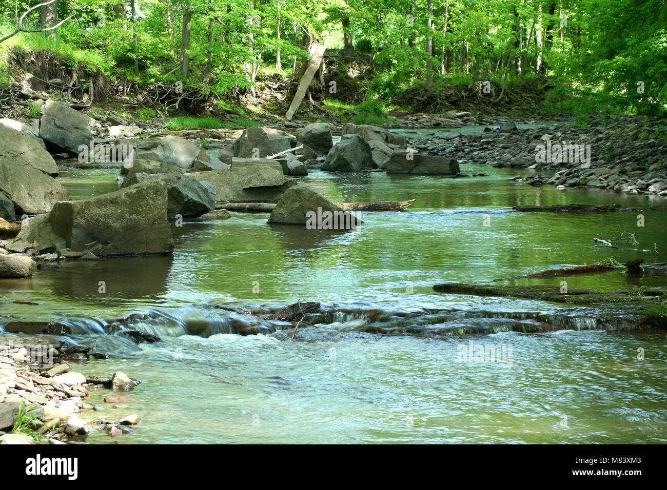 A Stream in the woods Stock Photo - Alamy