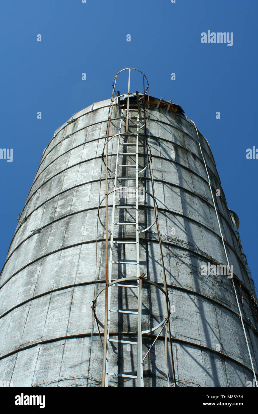 Looking up a grain silo with blue sky Stock Photo - Alamy