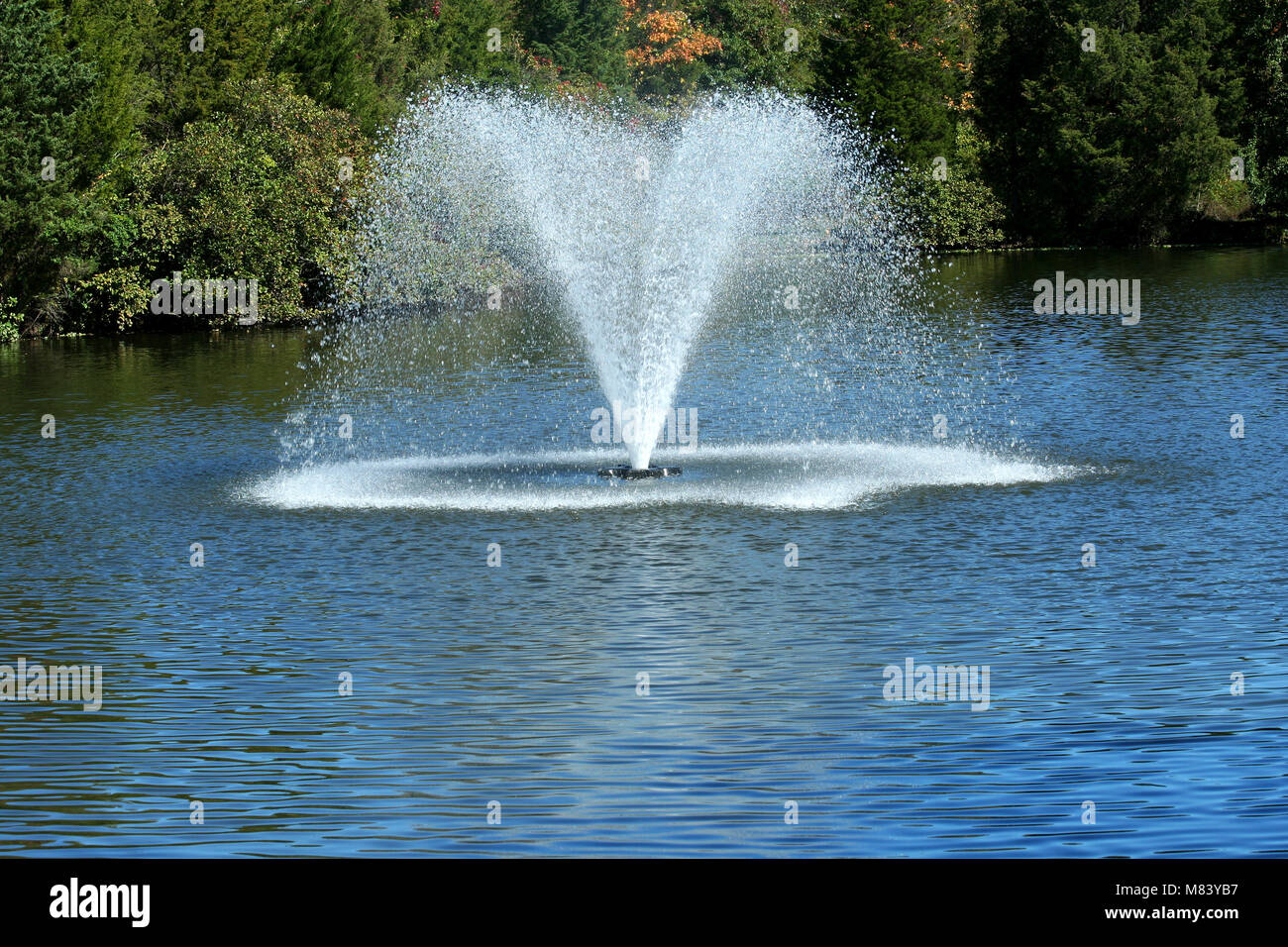 View pond trees fountain hi-res stock photography and images - Alamy