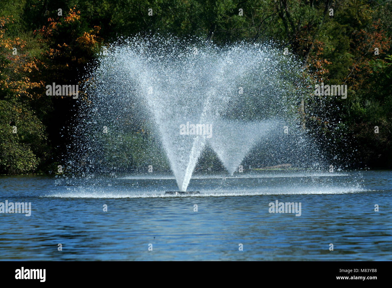 Trees pond fountain two hi-res stock photography and images - Alamy
