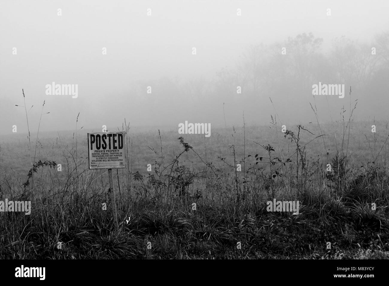 Foggy sign on the edge of a field Stock Photo - Alamy