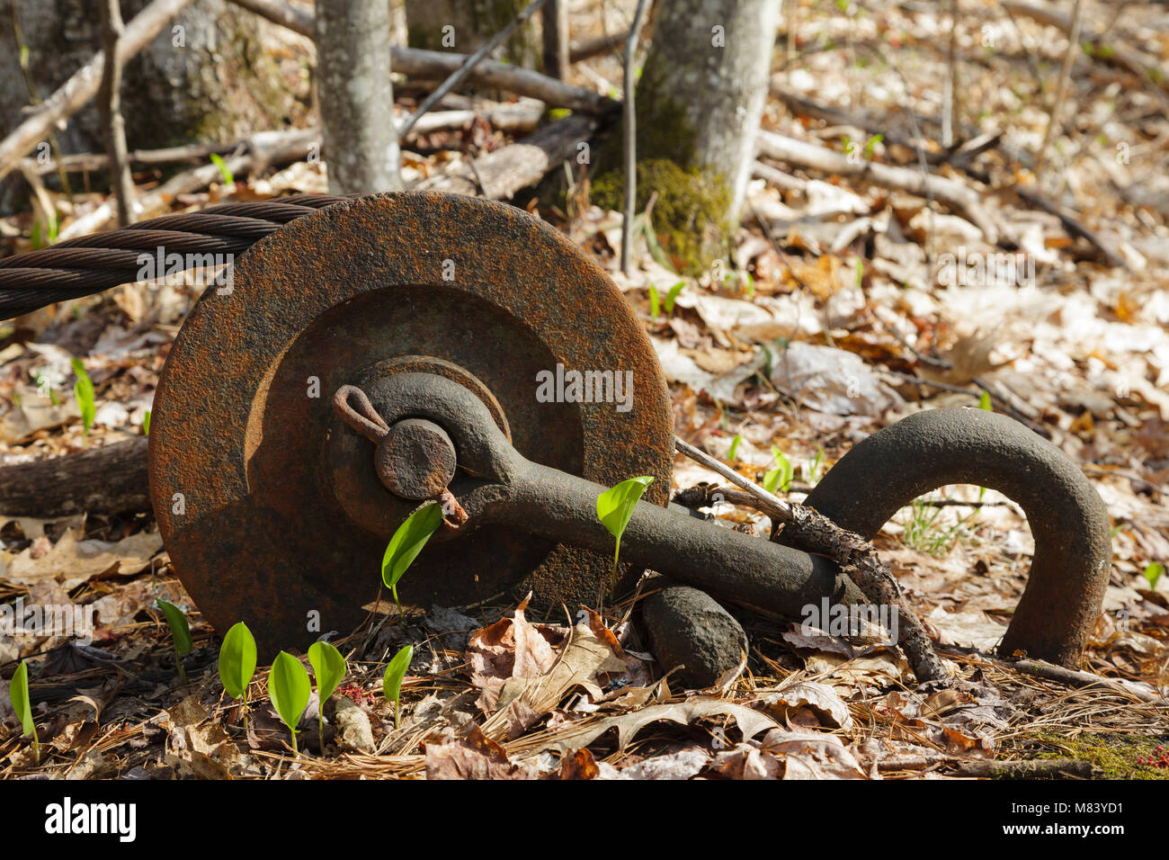The abandoned Redstone Granite quarry in Conway, New Hampshire USA ...