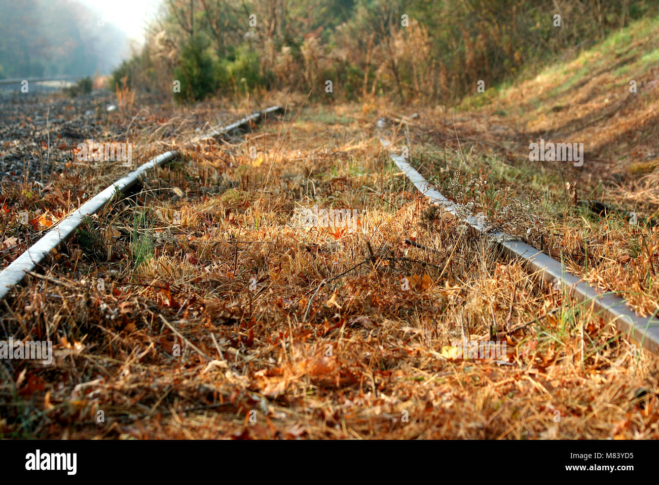 Abandoned Railroad tracks Stock Photo - Alamy