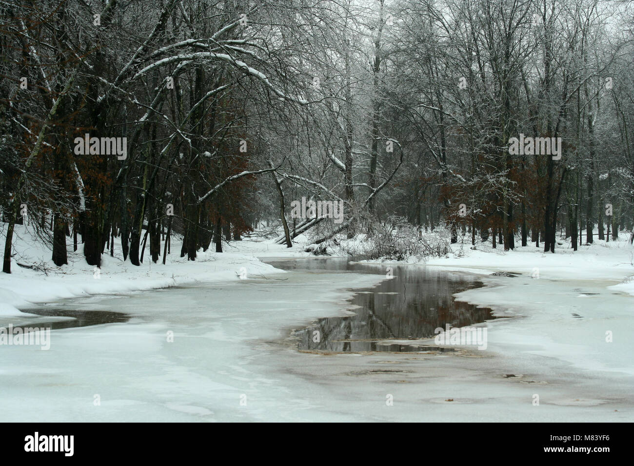 A Frozen pond in winter Stock Photo - Alamy