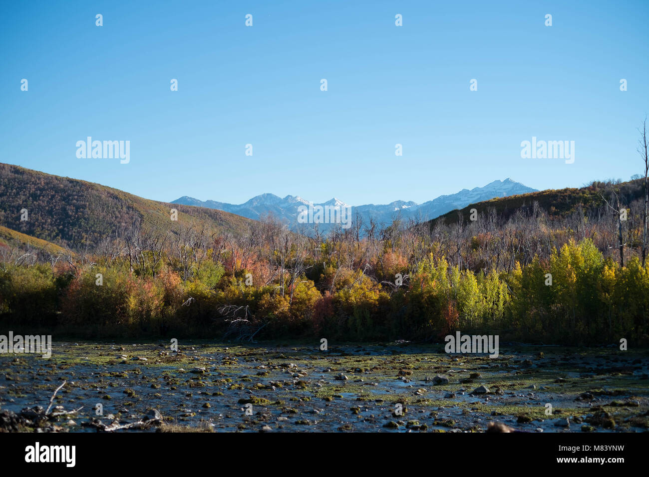 Angel Rock, Alaska Stock Photo - Alamy