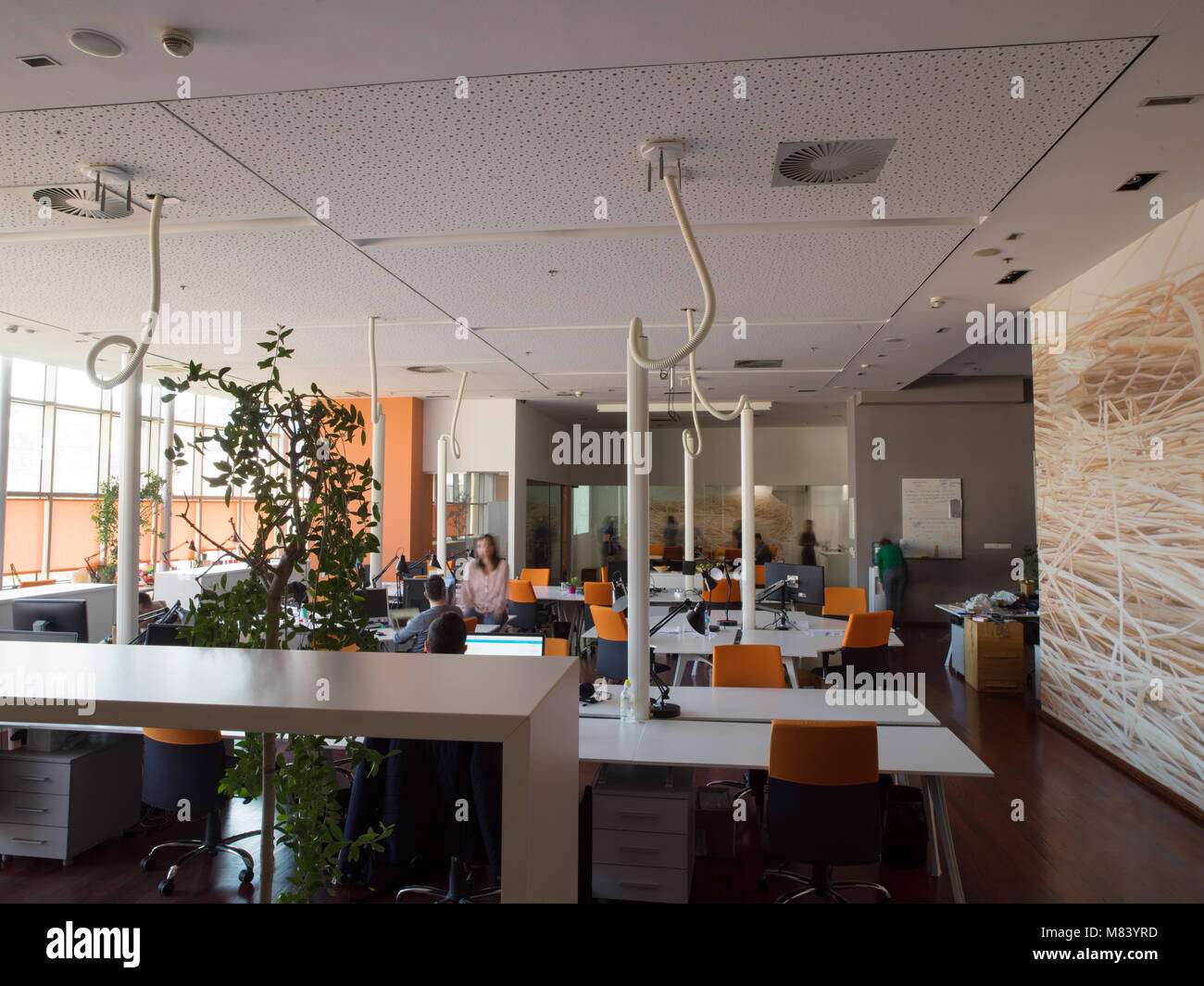 Group of Startup business people working everyday job at busy coworking ...