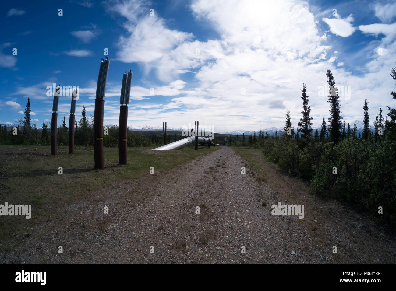 Interior alaska summer hi-res stock photography and images - Alamy