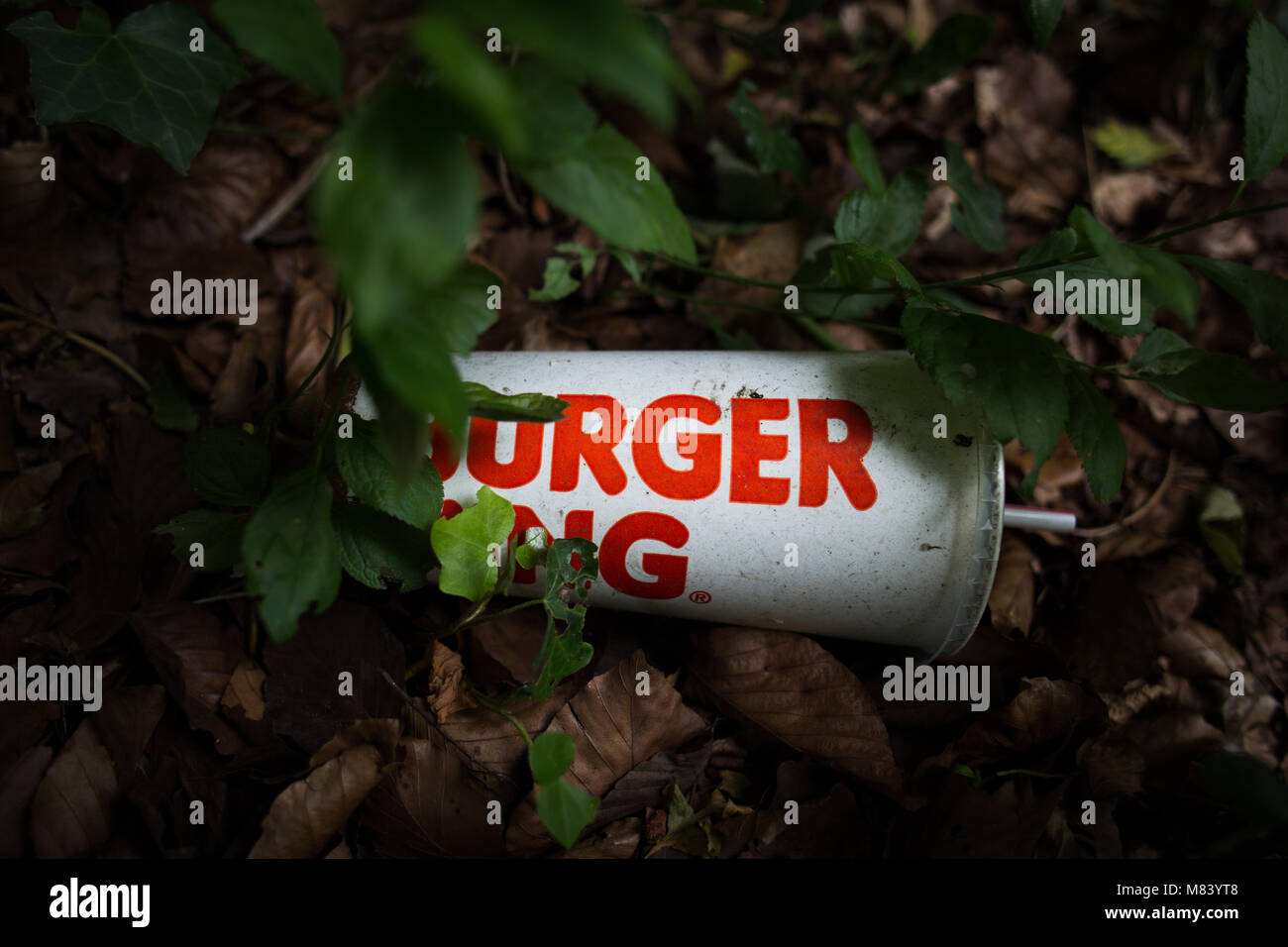 King crown thrown hi-res stock photography and images - Alamy