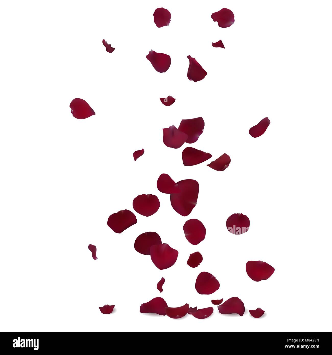 Rose petals falling down Stock Vector Images - Alamy