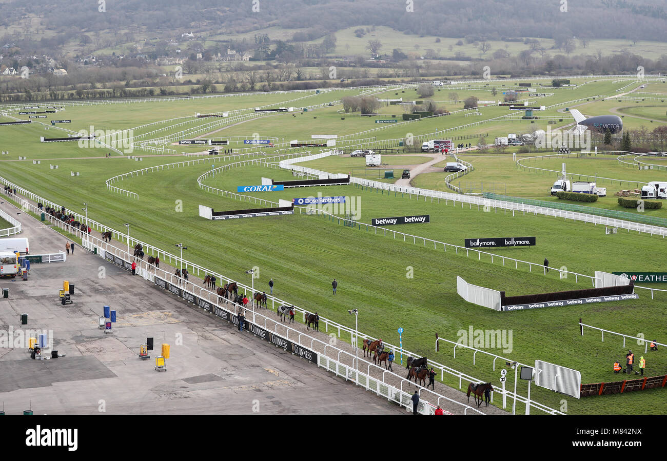 Willie Mullins horses make their way back from the gallops during ...