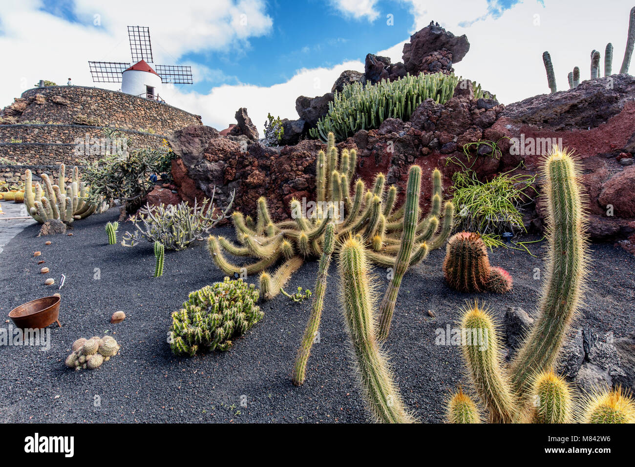 Jardin de Cactus, Lanzarote. Developed by César Manrique, cactus plants ...