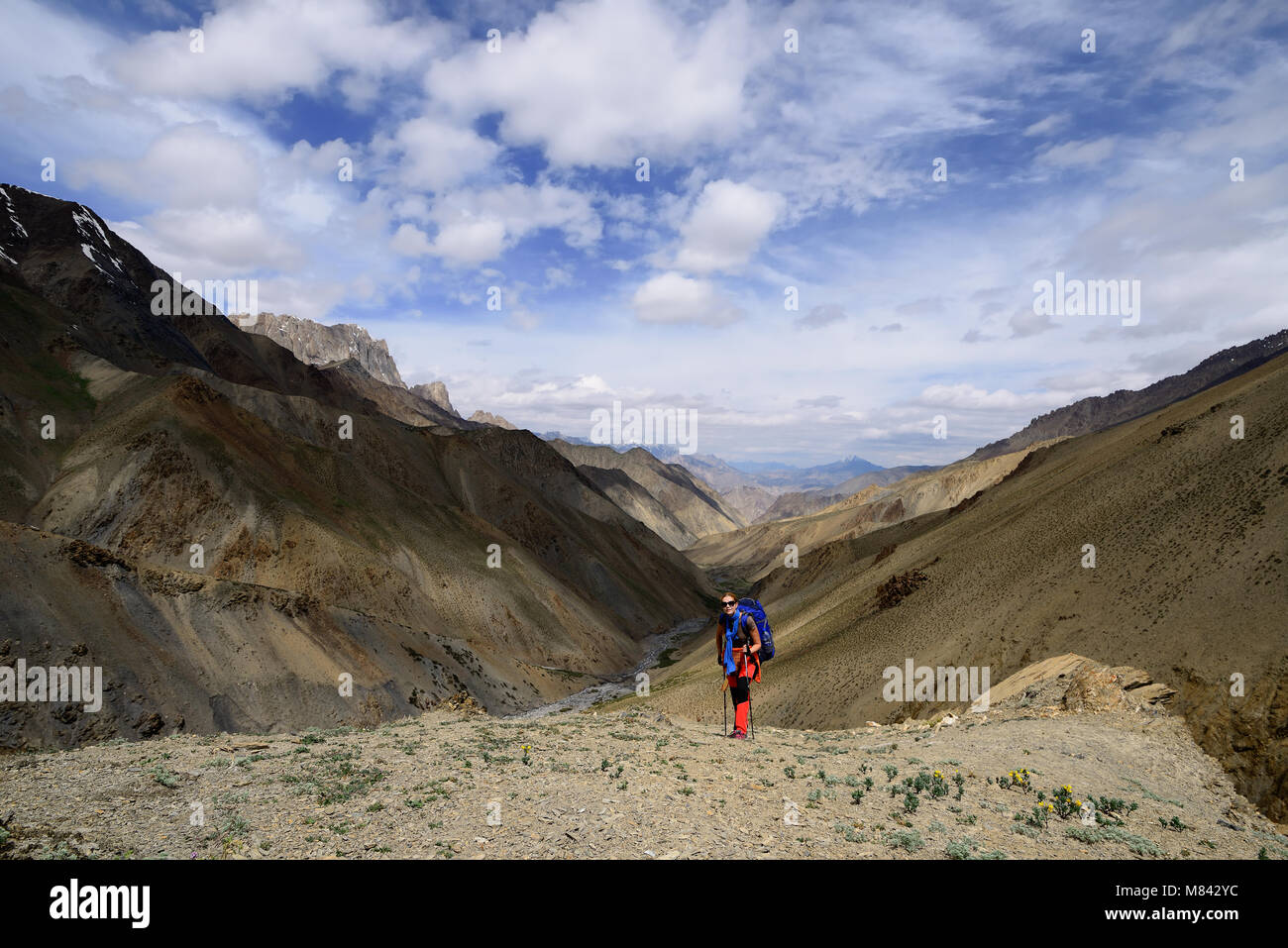 Traveller on the trekking on Markha valley trek route in Ladakh Stock ...