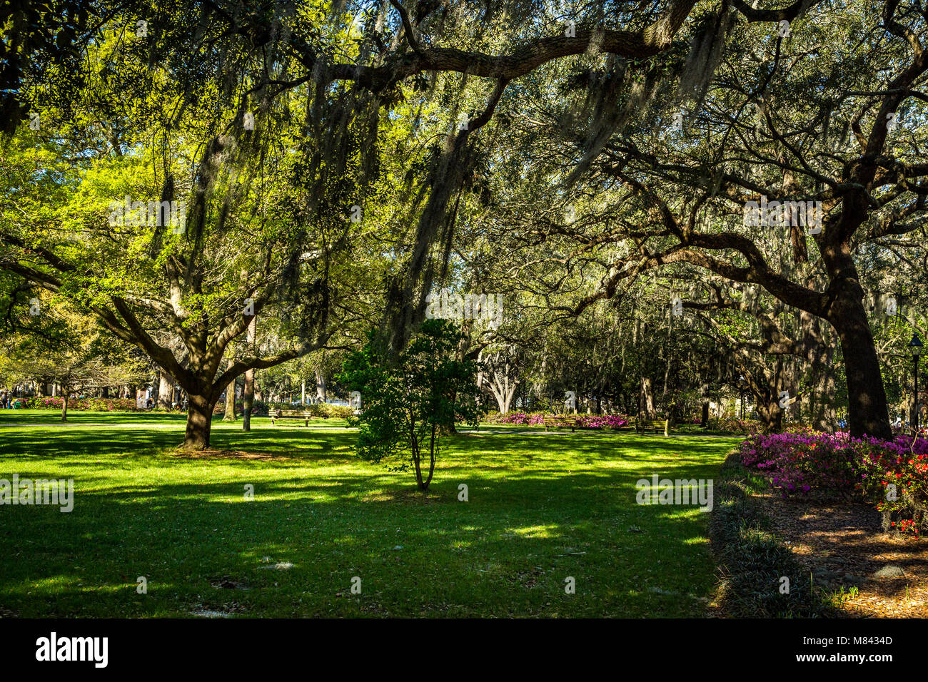 Historic Forsyth Park in Savannah Georgia awash in blooming azalea ...