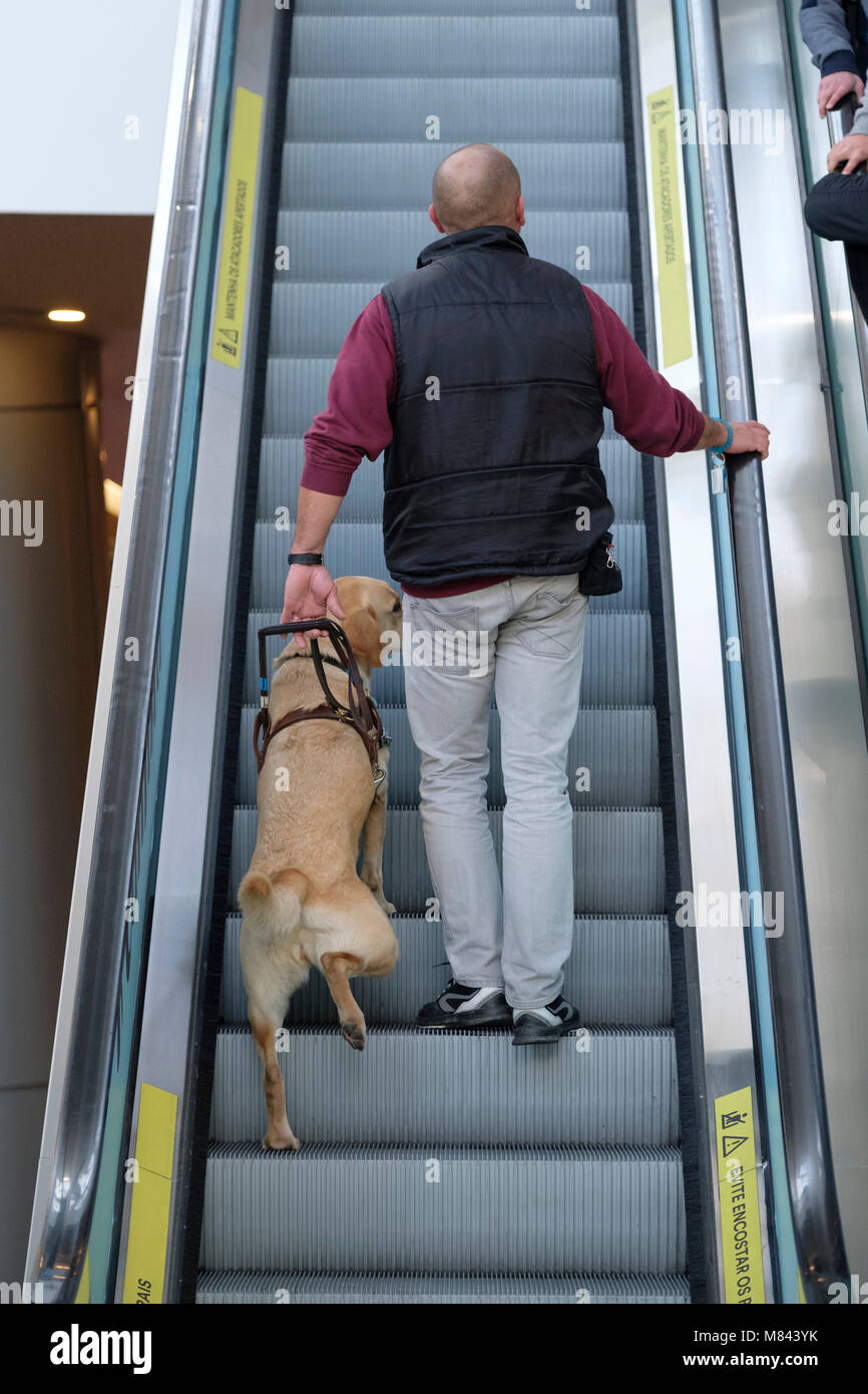 Blind person with guide dog Stock Photo - Alamy