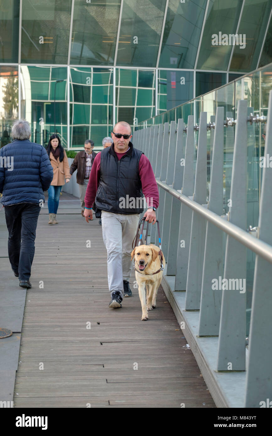 Blind person with guide dog Stock Photo - Alamy