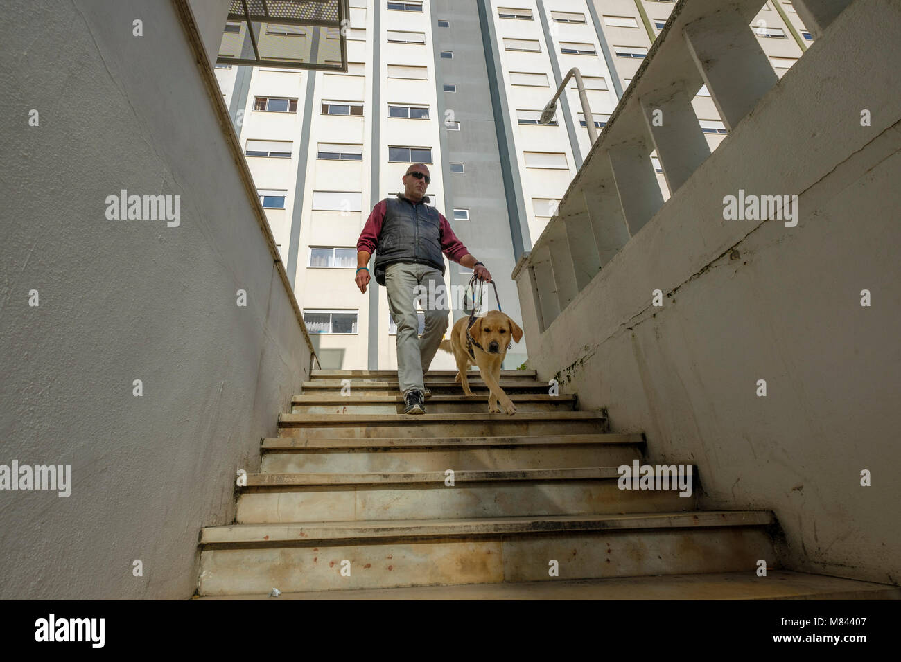 Blind person with guide dog Stock Photo - Alamy