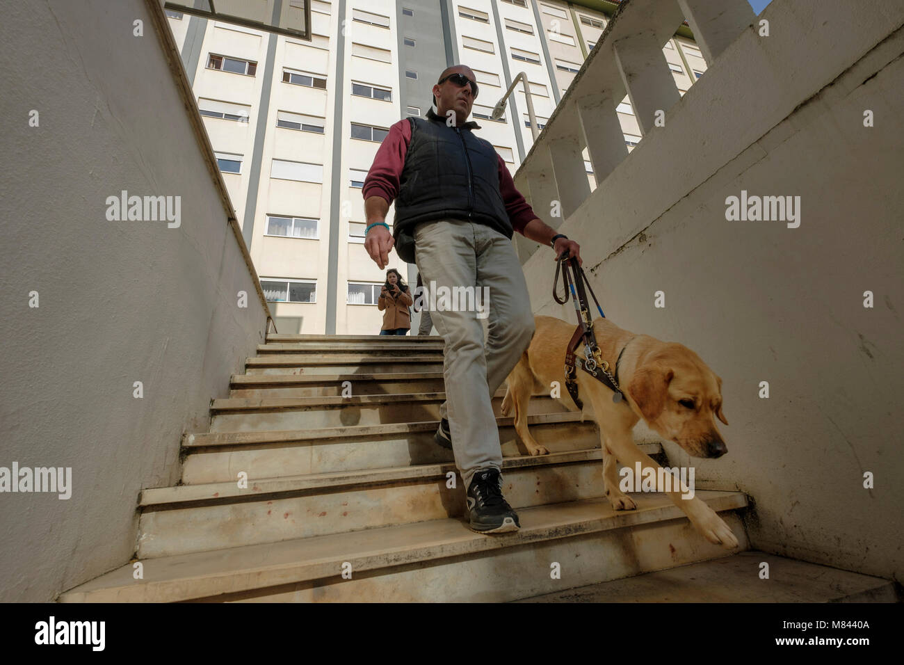 Blind person with guide dog Stock Photo - Alamy