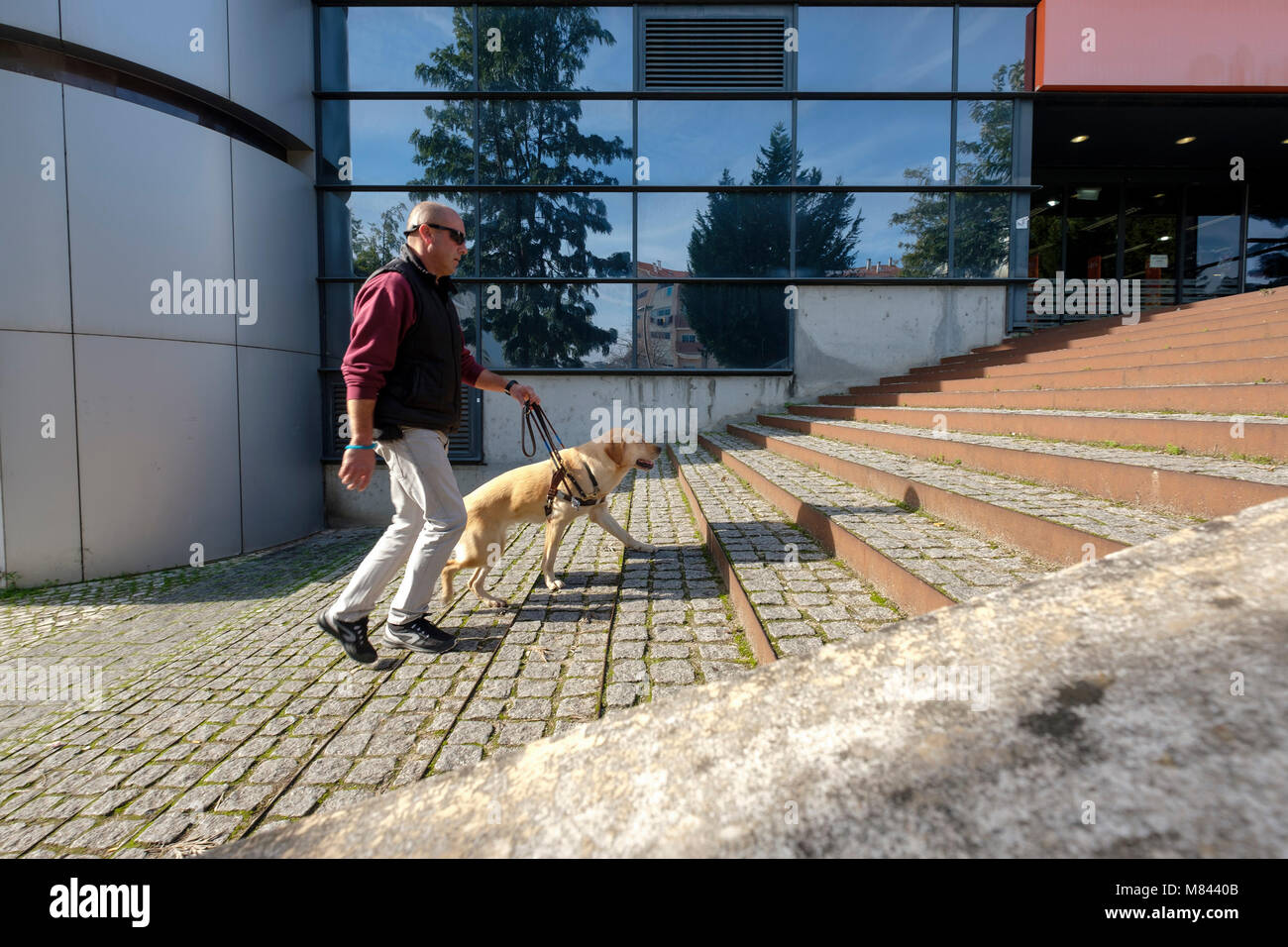 Blind person with guide dog Stock Photo - Alamy