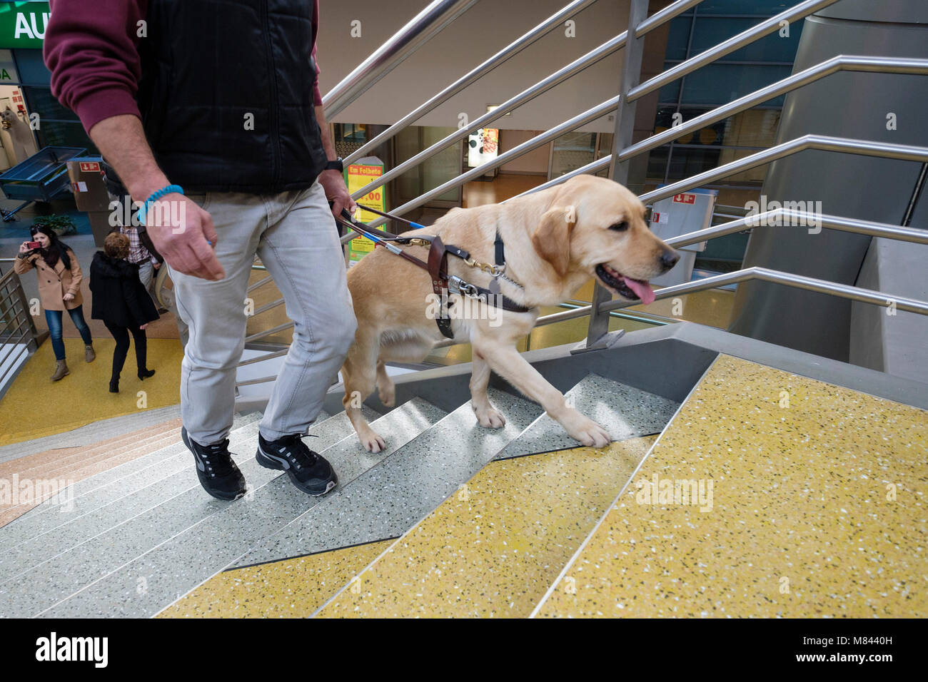 Blind person with guide dog Stock Photo - Alamy