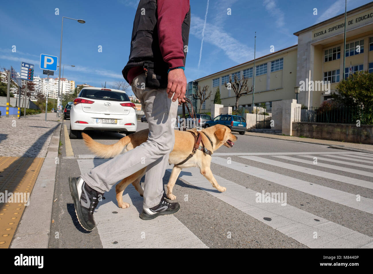 Blind Man Dog Stock Photos & Blind Man Dog Stock Images - Alamy