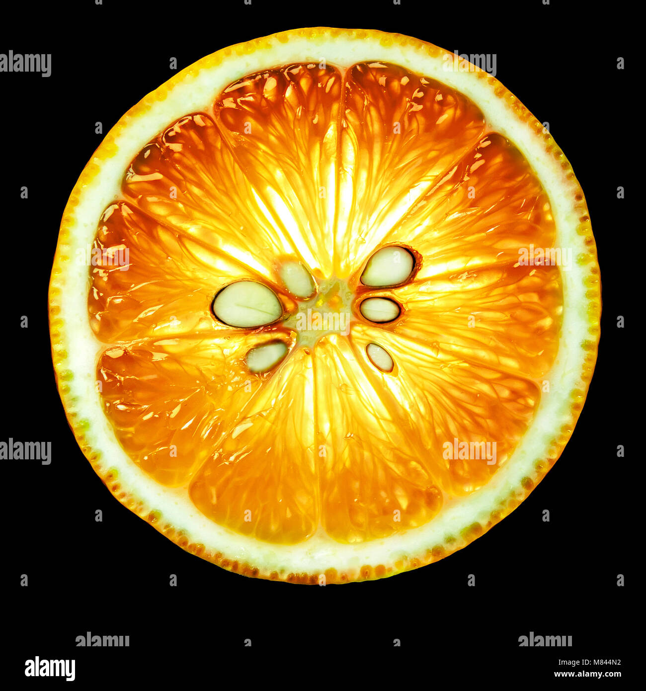 A juicy luminous orange circle of orange Stock Photo - Alamy