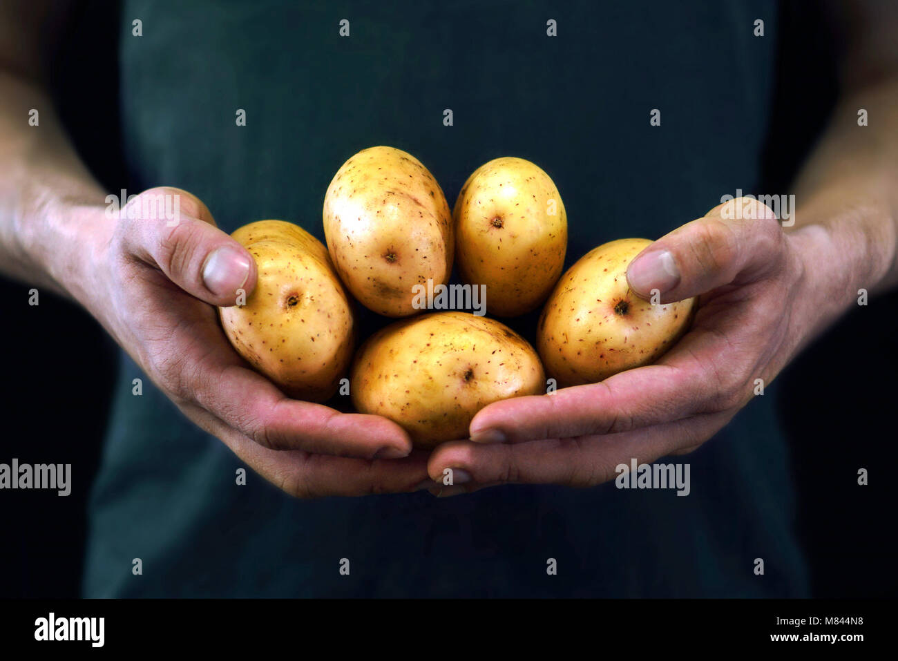 Man holding young potatoes hi-res stock photography and images - Alamy