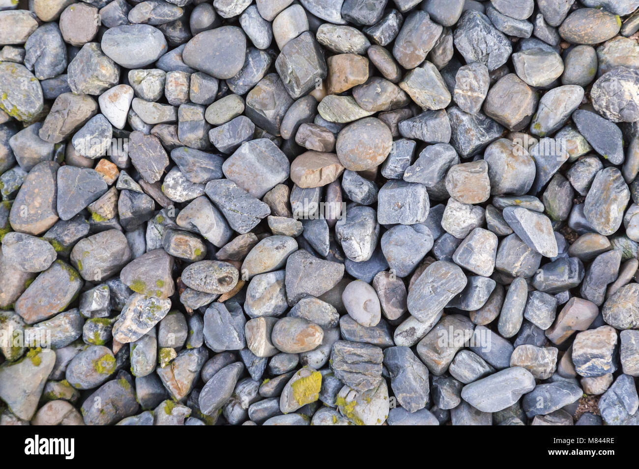 Stone pebbles texture or stone pebbles background for interior design ...