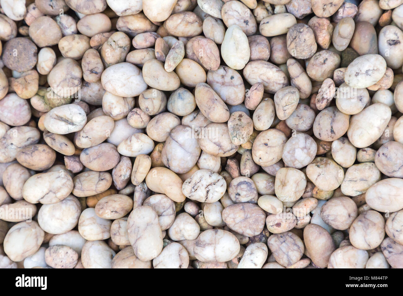 Stone pebbles texture or stone pebbles background for interior design ...