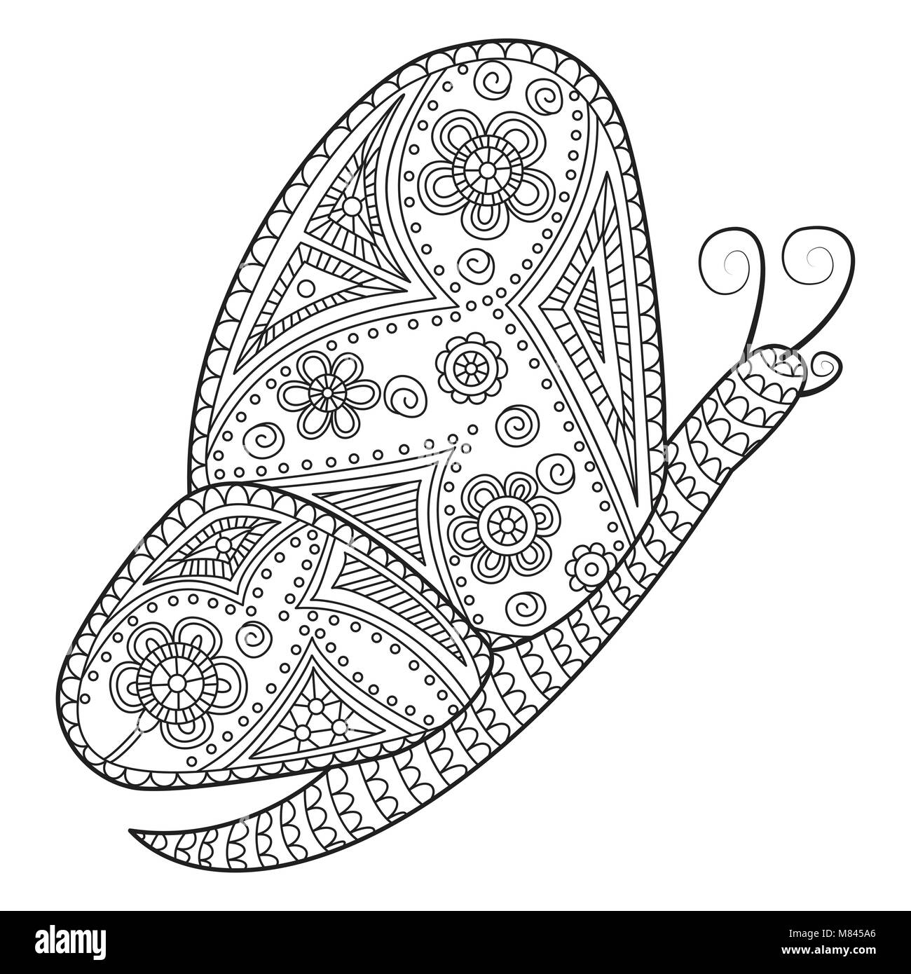 Draw bug and insect Black and White Stock Photos & Images - Alamy