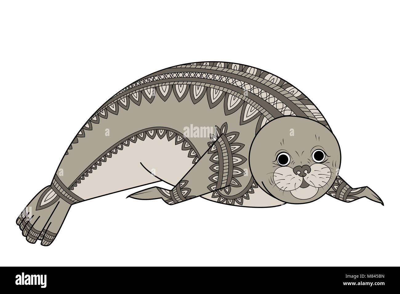 Cute seal Zentangle vector illustration. Phoca Zen Tangle. Wild animals ...