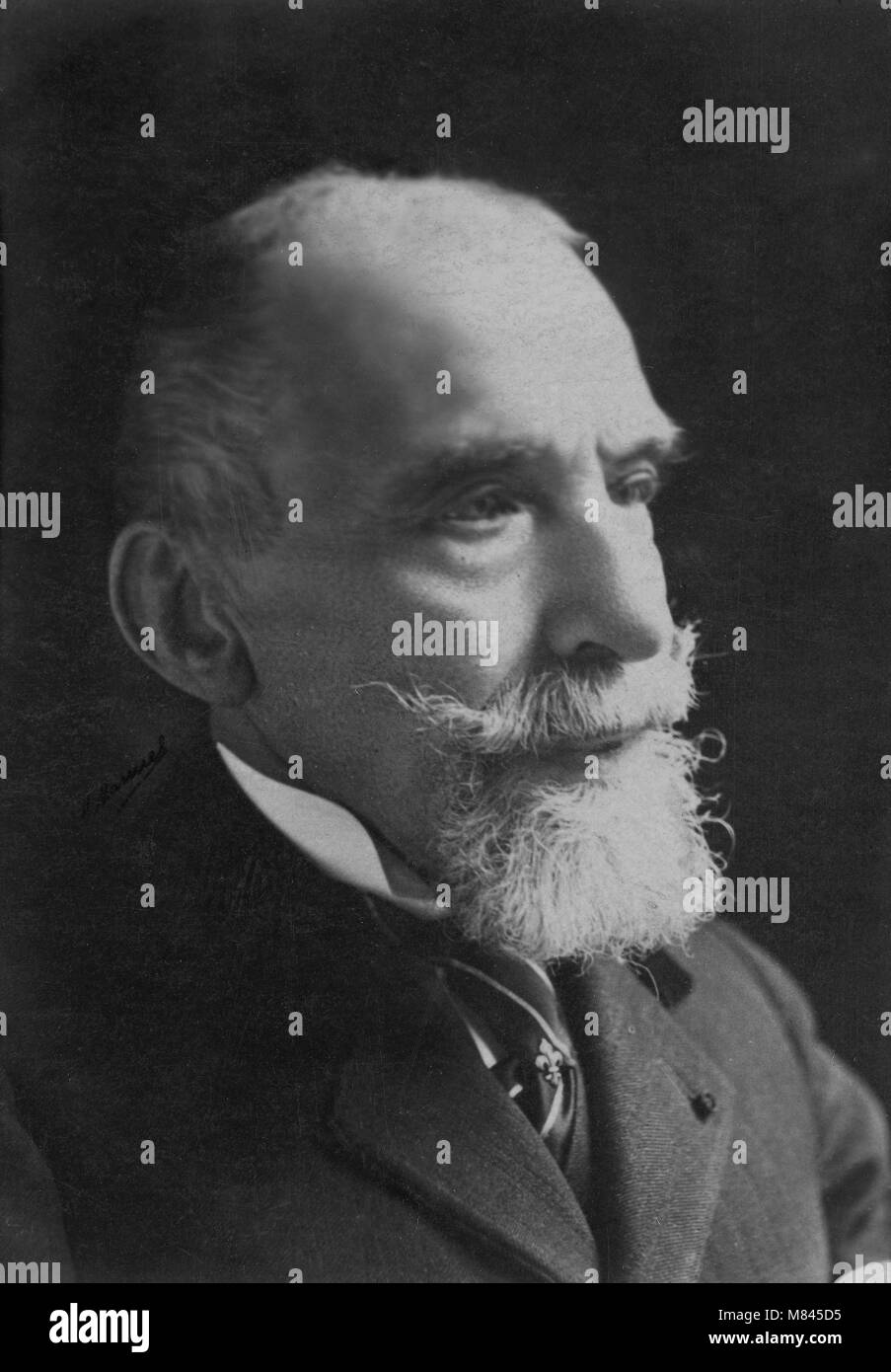 Portrait of Ernest Daudet ( 1837 - 1921 ) writer - photography by Henri ...