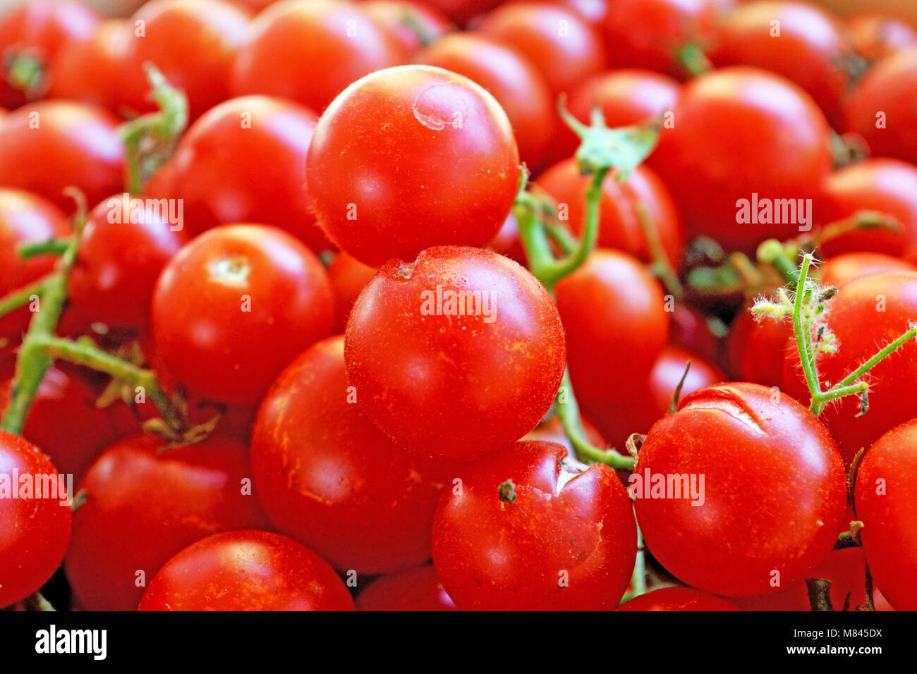 Bio organic product tomato hi-res stock photography and images - Alamy