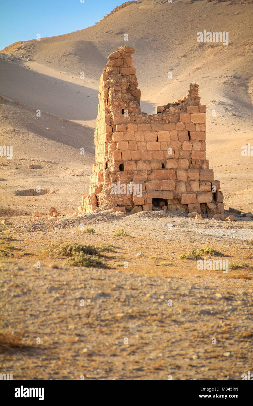 Ancient Roman time town in Palmyra Stock Photo - Alamy