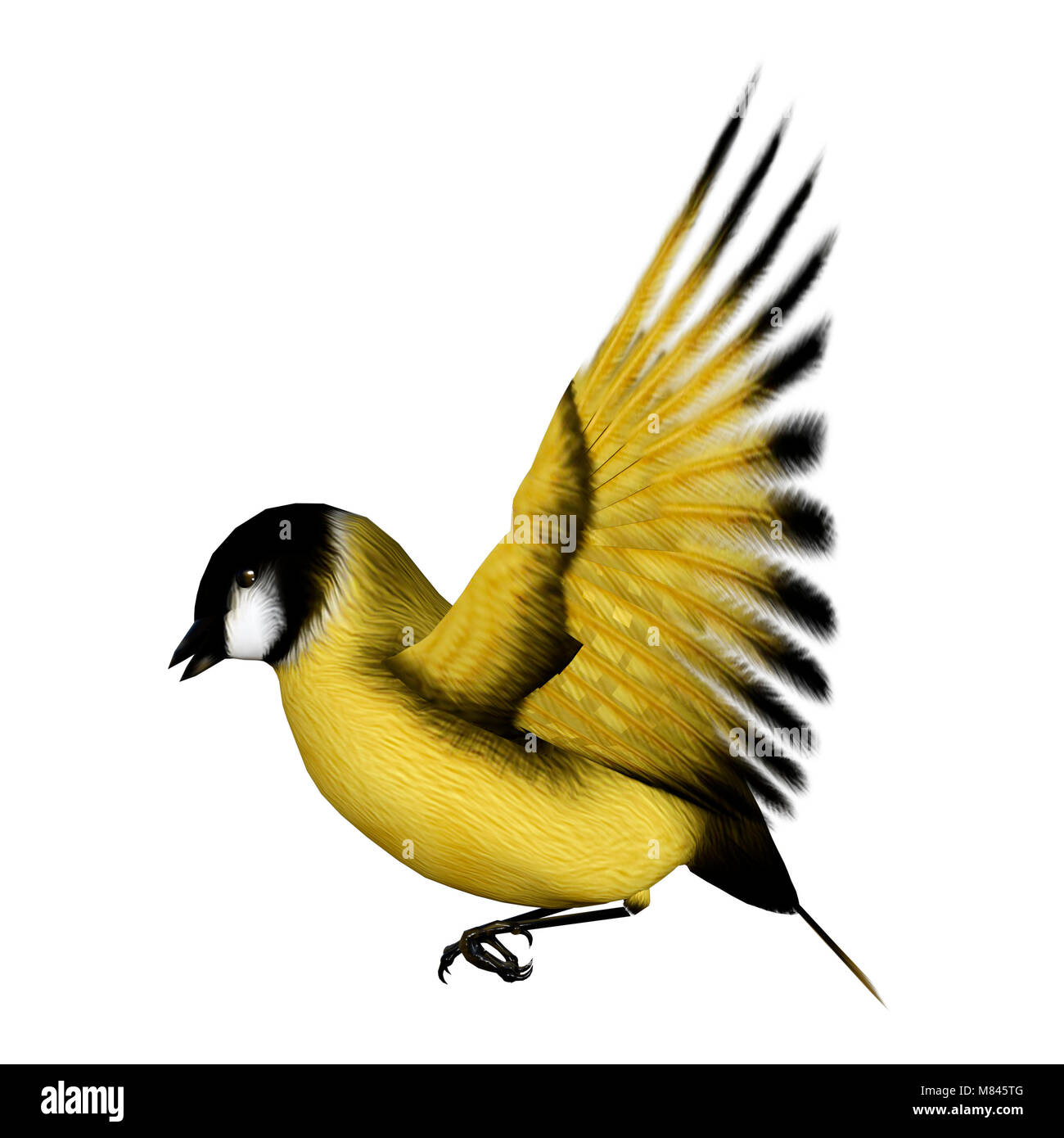 3D rendering of a flying songbird goldfinch isolated on white ...