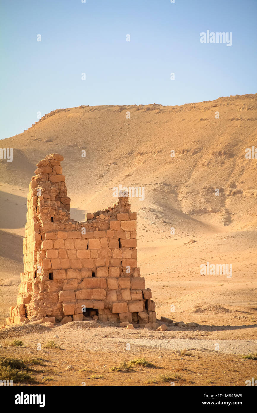 Ancient Roman time town in Palmyra Stock Photo - Alamy