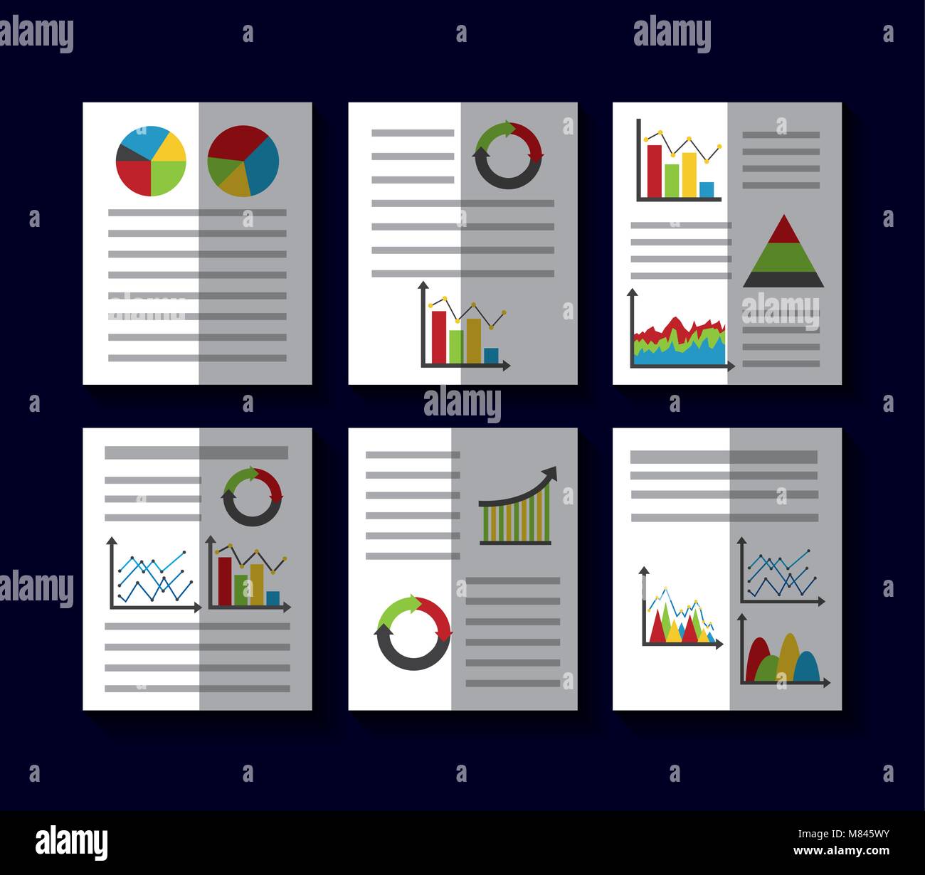 statistics data business report template style charts and graphs vector ...