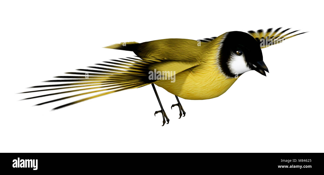 3D rendering of a flying songbird goldfinch isolated on white ...