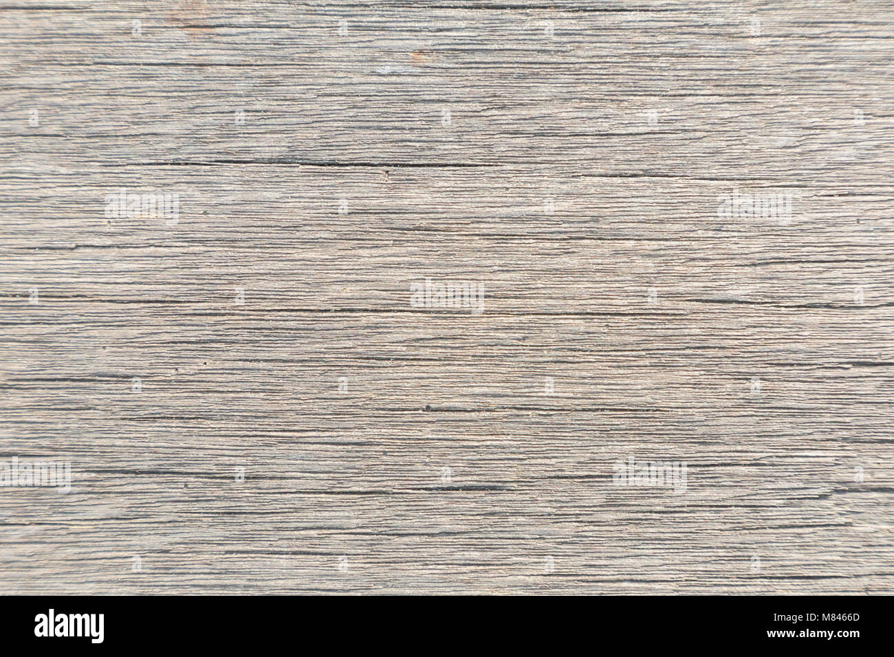 Wood texture or wood background for interior exterior decoration and ...