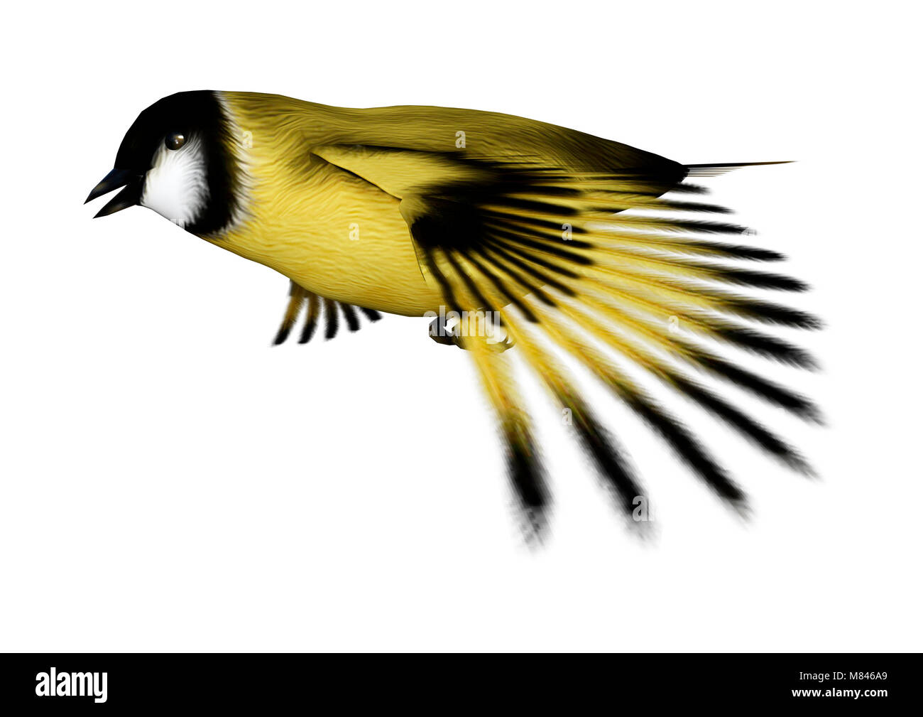 3D rendering of a flying songbird goldfinch isolated on white ...