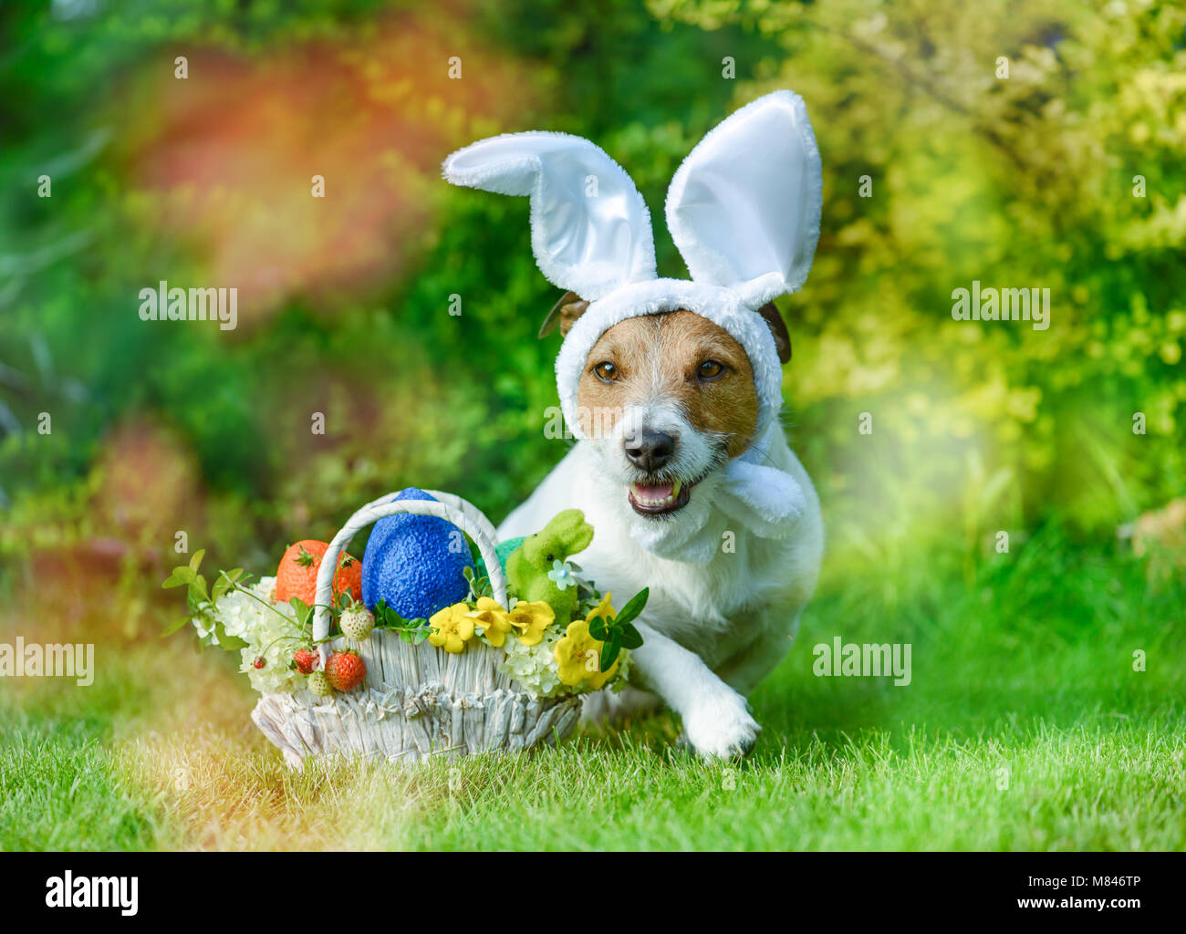 Wearing rabbit ears hi-res stock photography and images - Alamy