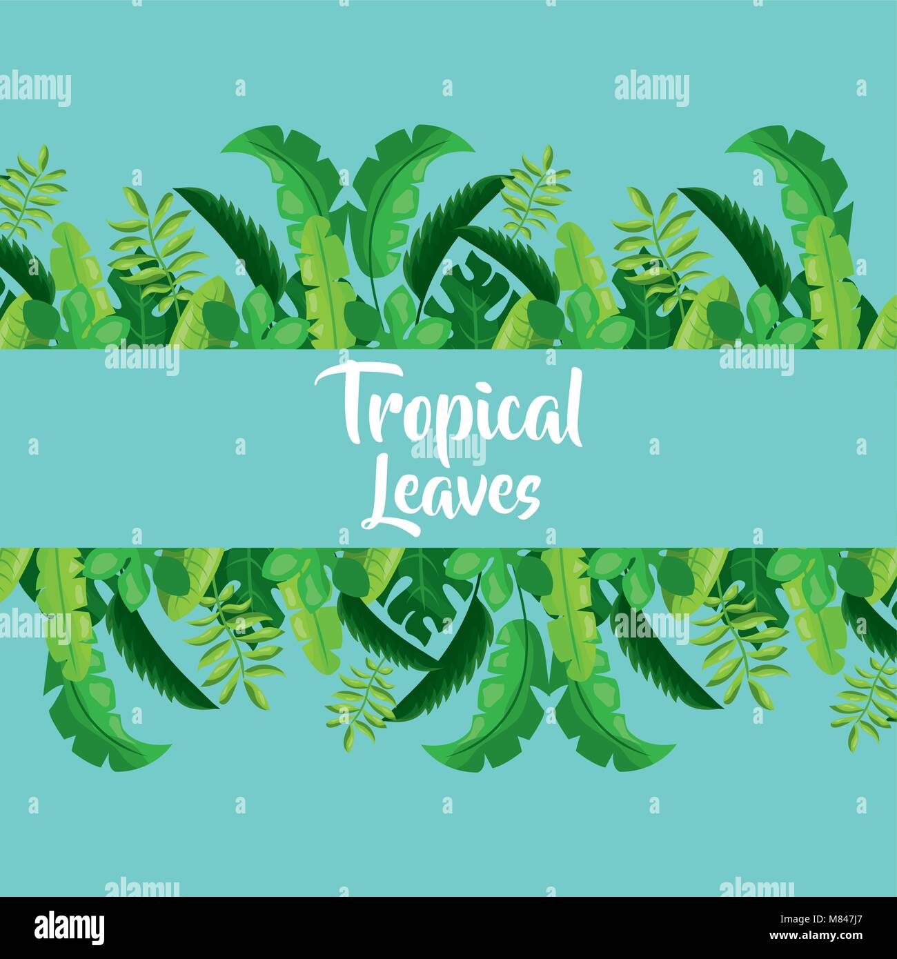 tropical leaves banner foliage palm decoration vector illustration ...